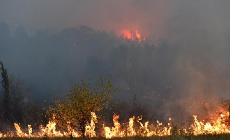 Požar kod Prokuplja pod kontrolom